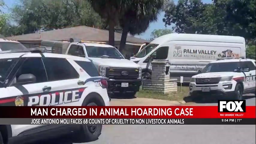Man Charged With Animal Cruelty After Hoarding Raid In La Grulla - Fox ...