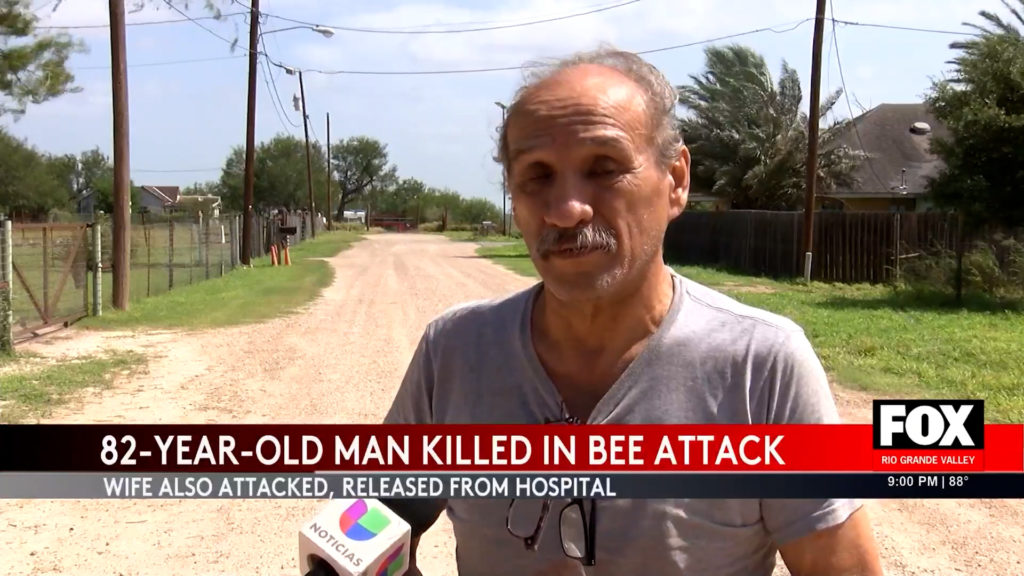 Tragic Bee Attack Claims Life Of La Joya Resident - Fox Rio Grande Valley