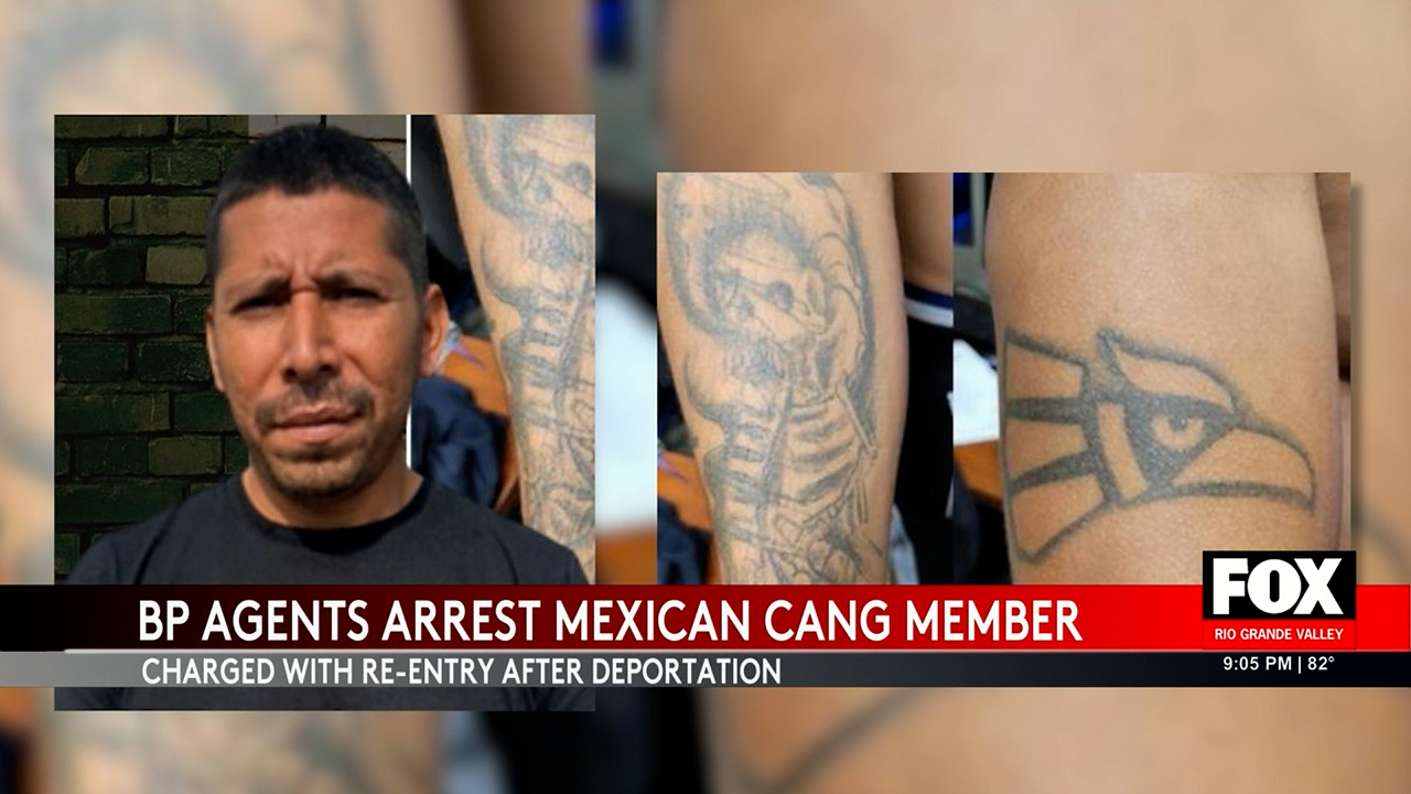 Gulf Cartel Gang Member Captured By Border Patrol In Joint Operation ...