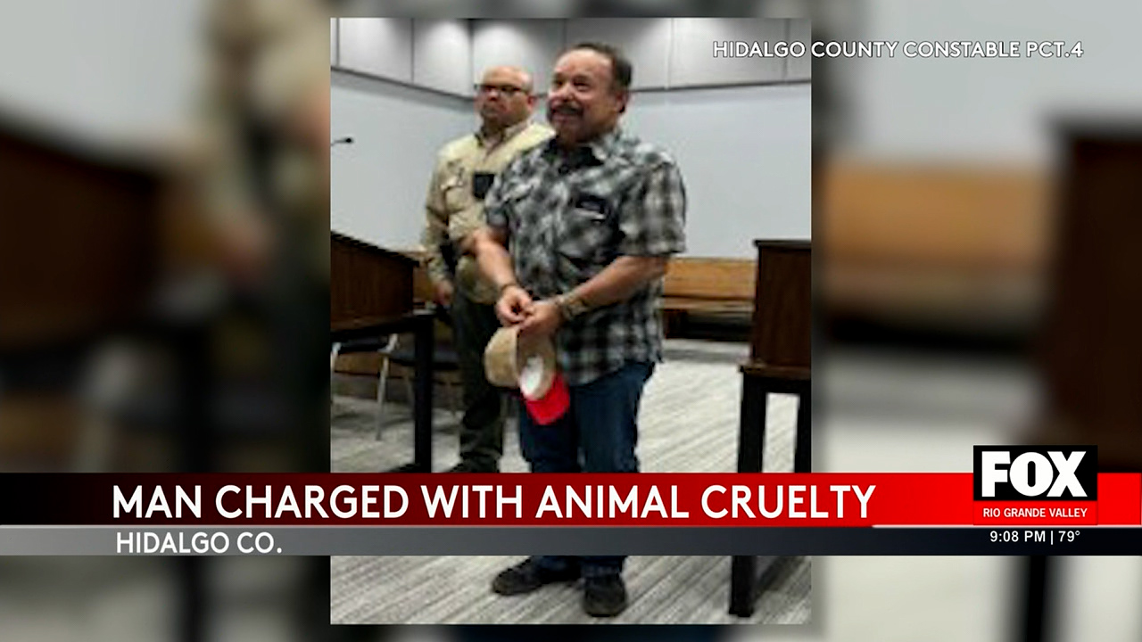 Man Charged With Animal Cruelty For Abandoning Cat In Rural Edinburg ...