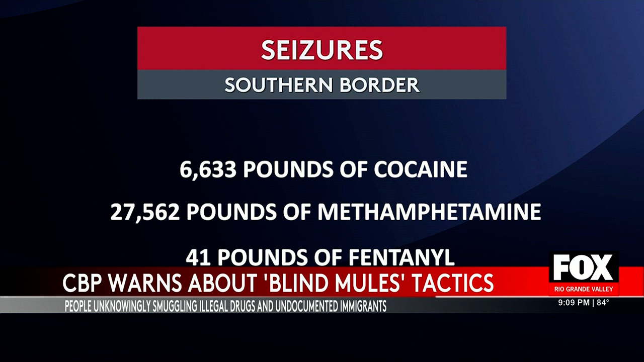 Blind Mule Alert: CBP Warns Against Unknowingly Smuggling Drugs - Fox ...