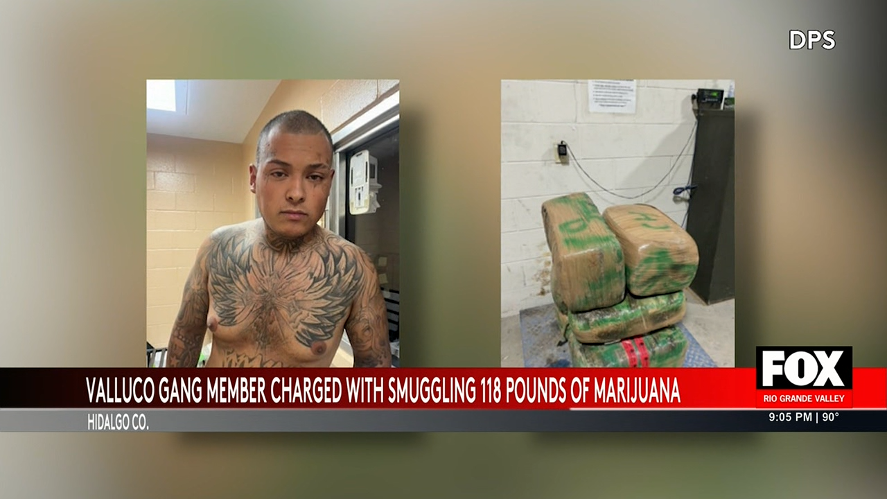 Drug Bust: 118 Pounds Of Marijuana Seized From Gang Member In Mercedes ...