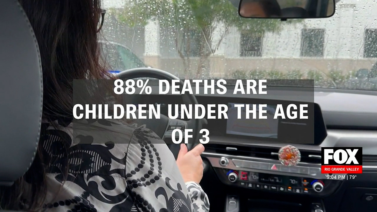 Tragic Hot Car Deaths: 5 Children Lost In 8 Days Across U.S. - Fox Rio ...