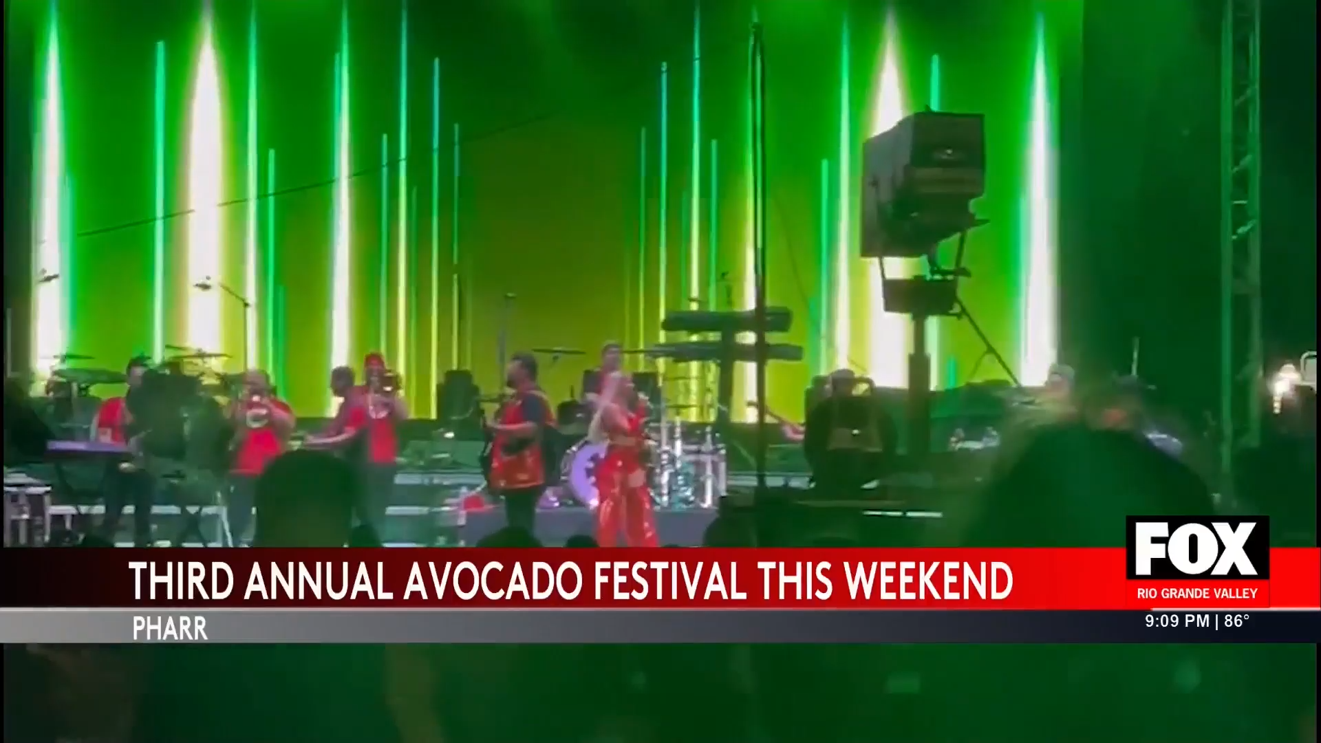 Avocado Festival In Pharr: A Celebration Of Culture And Community - Fox ...