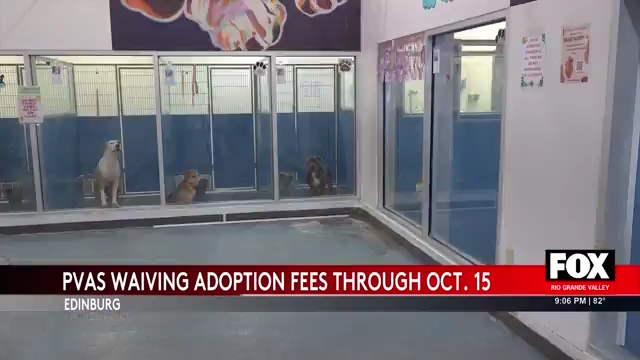 Pharr Brothers Murder Case: Capital Murder Charges And DNA ...