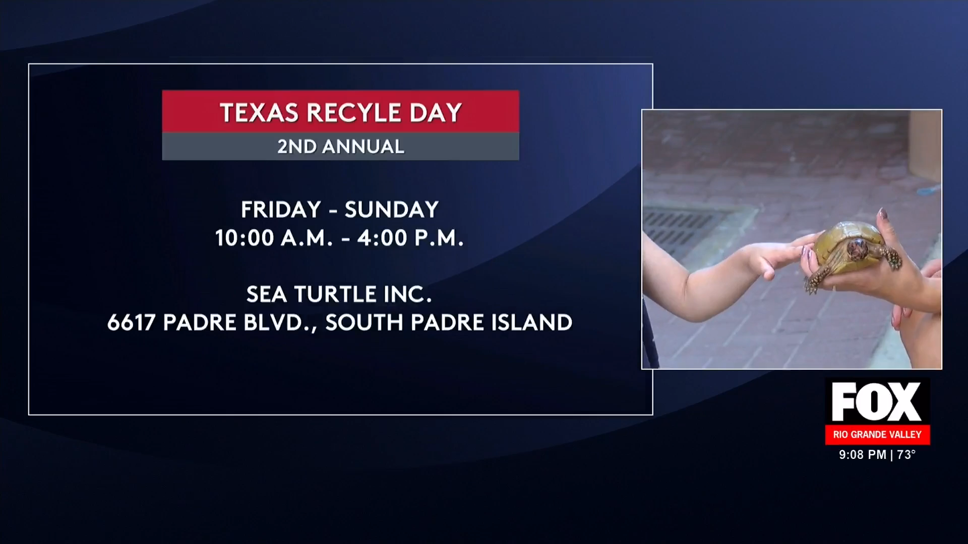 Sea Turtle Inc's Shocking Partnership With HEB For Texas Recycle Day ...