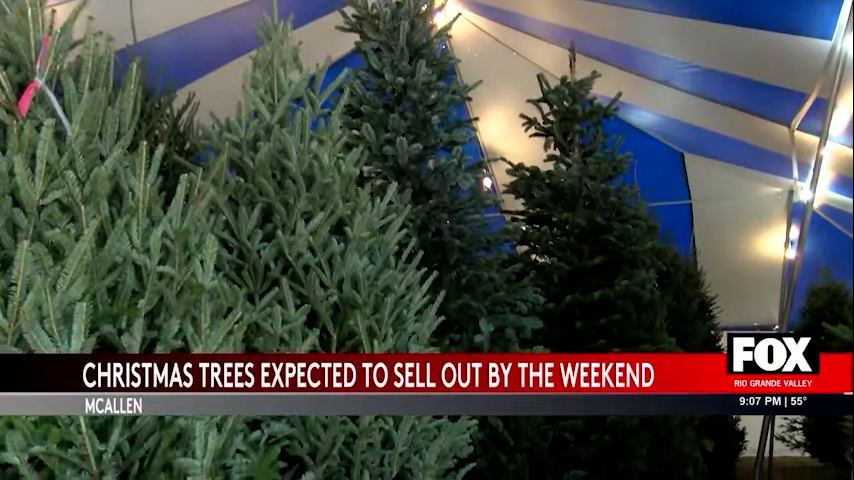 Pharr Brothers Murder Case: Capital Murder Charges And DNA ...