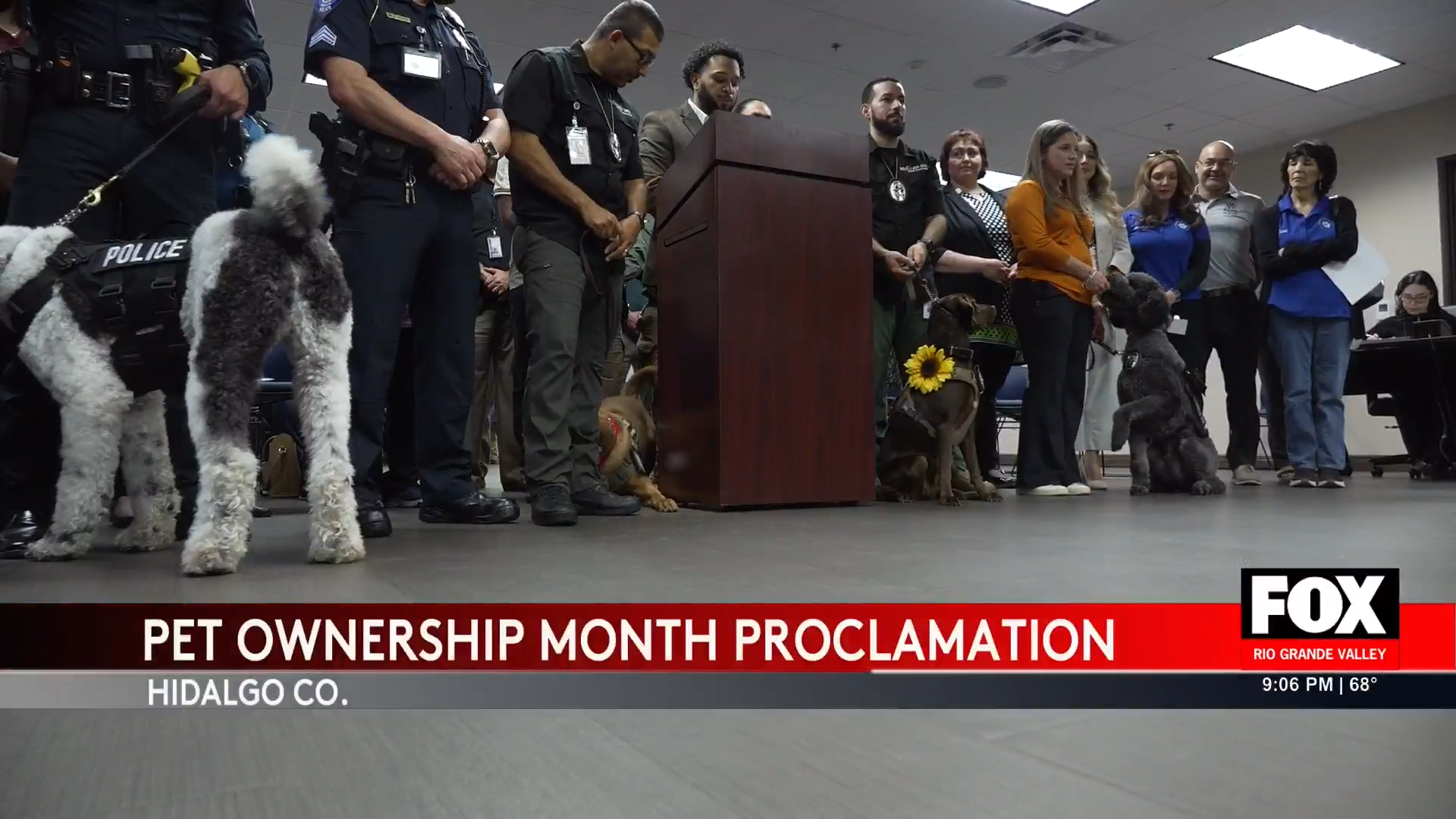 Benefits Of Responsible Pet Ownership Revealed In Hidalgo County's New ...
