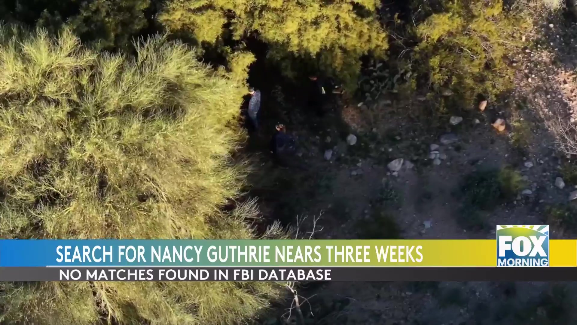 Search For Nancy Guthrie Intensifies Amid Complex Ransom Case