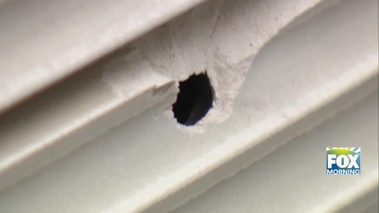 Secret Service Shooting: Secret Service Shoots Suspect Near White House ...