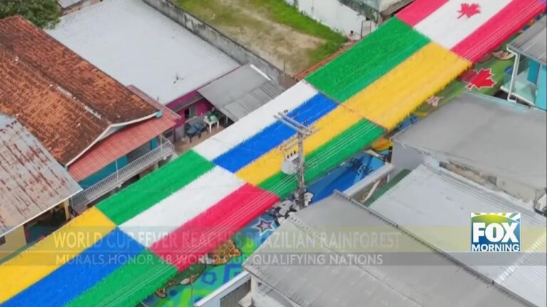 Manaus World Cup Decorations: Manaus, Brazil Bursts Into Colorful World ...
