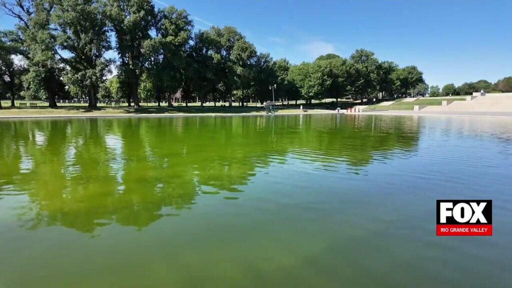 Lincoln Memorial Reflecting Pool Treated For Algae, Landmark’s ...