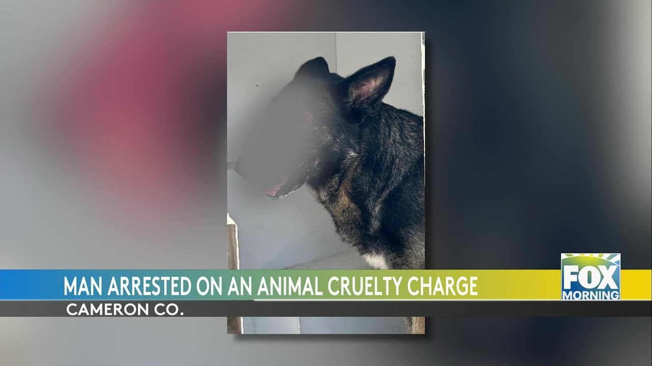 Harlingen Man Arrested On Animal Cruelty Charges After Dog Found ...